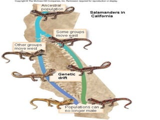 Biology Unit 7 Notes: Evolution & Natural Selection | PPT