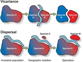 Biology Unit 7 Notes: Evolution & Natural Selection | PPT