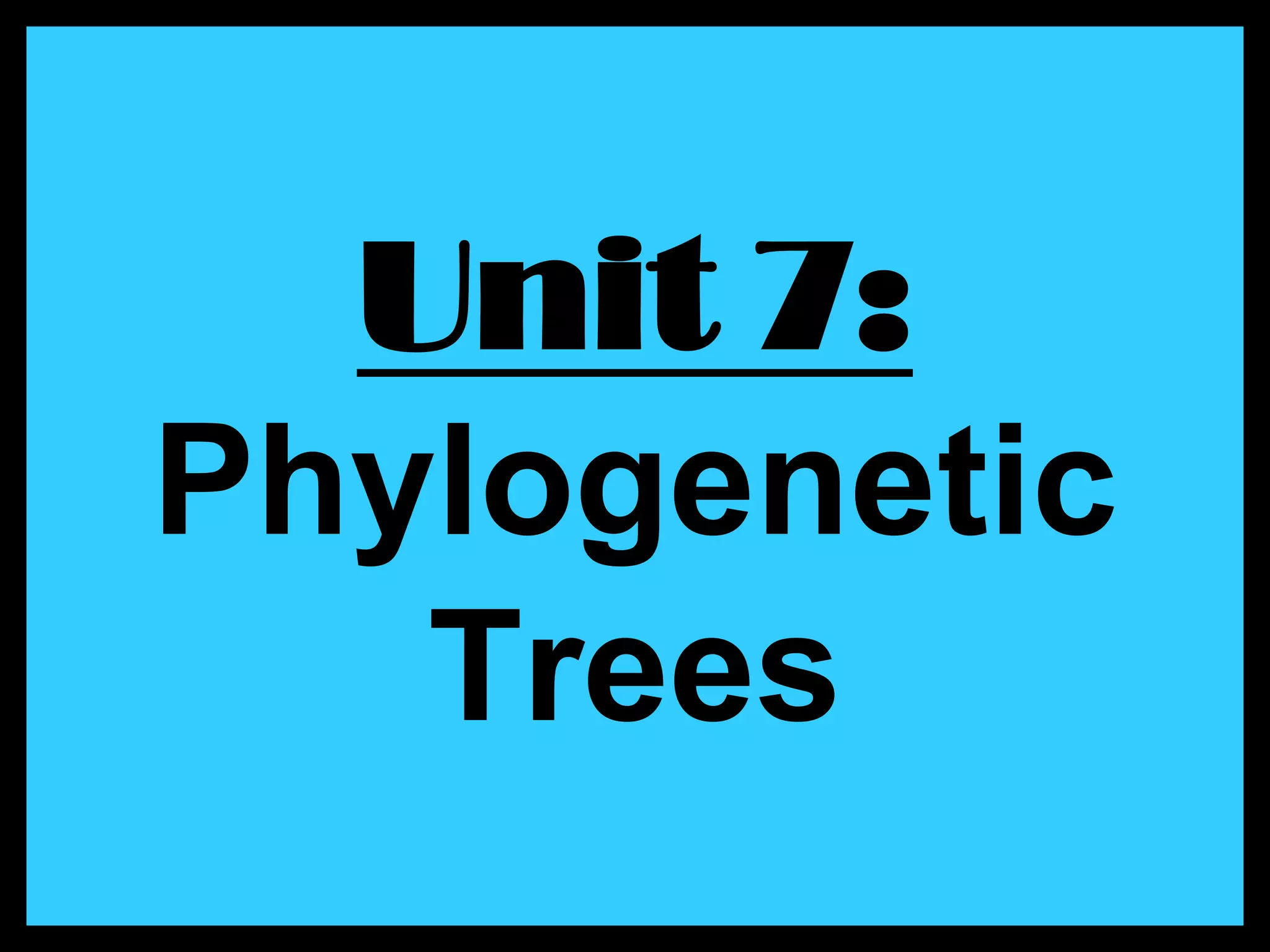 Biology unit 7 evolution phylogenetic tree notes | PPT