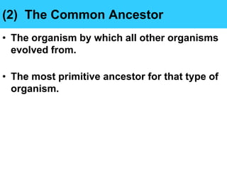 Biology unit 7 evolution phylogenetic tree notes | PPT