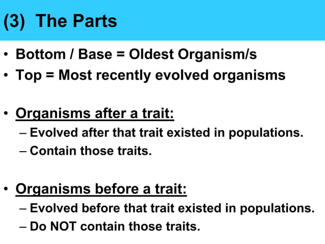 Biology unit 7 evolution phylogenetic tree notes | PPT
