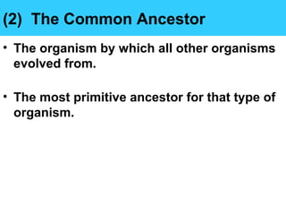 Biology unit 7 evolution phylogenetic tree notes | PPT