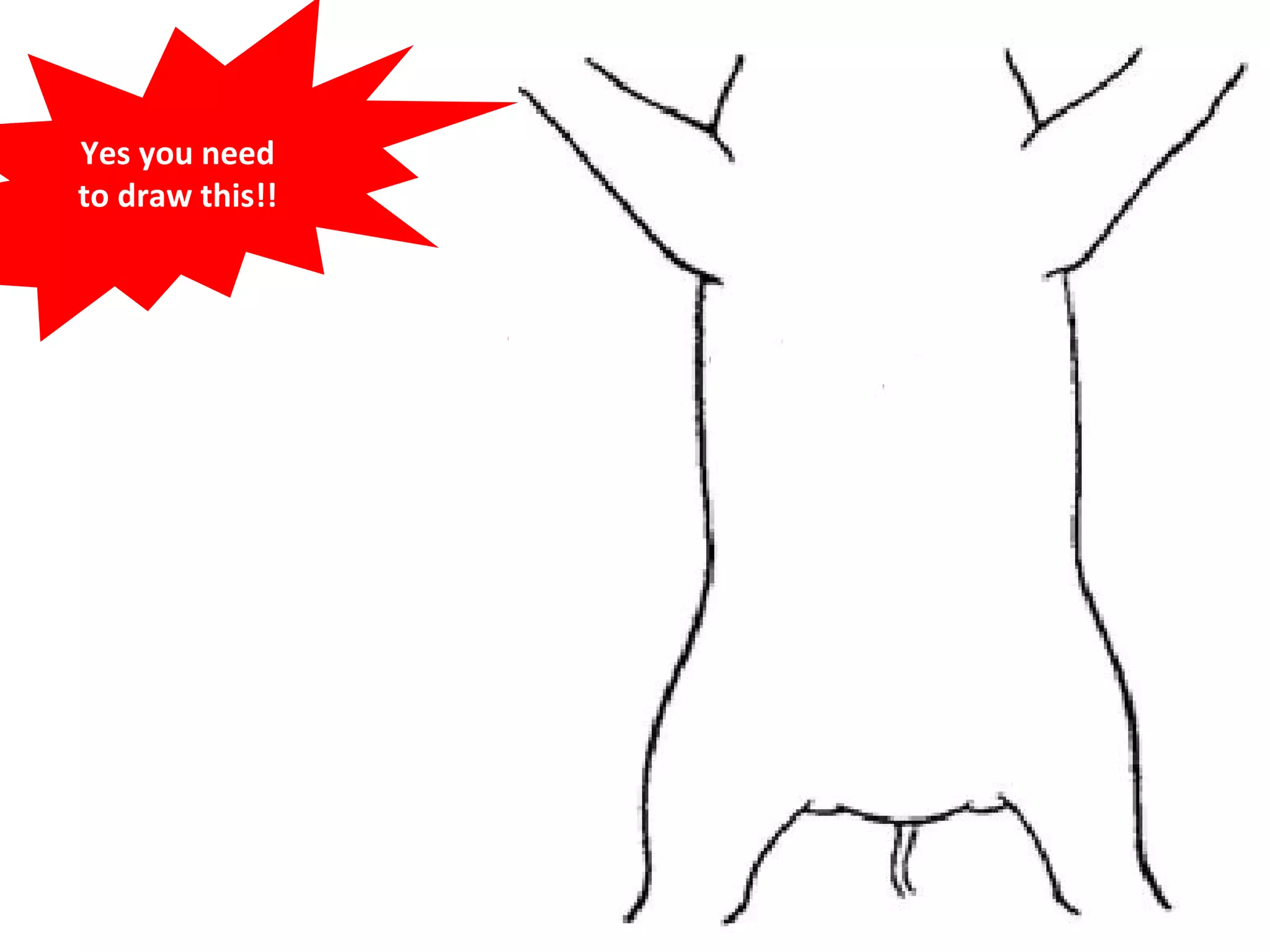 Biology unit 7 organ systems pig dissection notes | PPT | Free Download