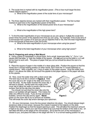 Microscope Lab Letter E