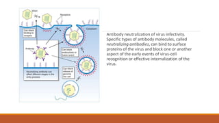 Biology virology | PPTX