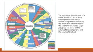 Biology virology | PPTX