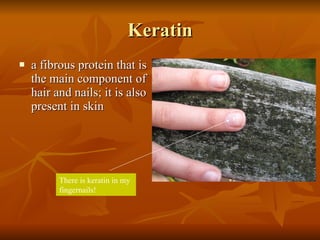 Biology Vocabulary Round 1 | PPT
