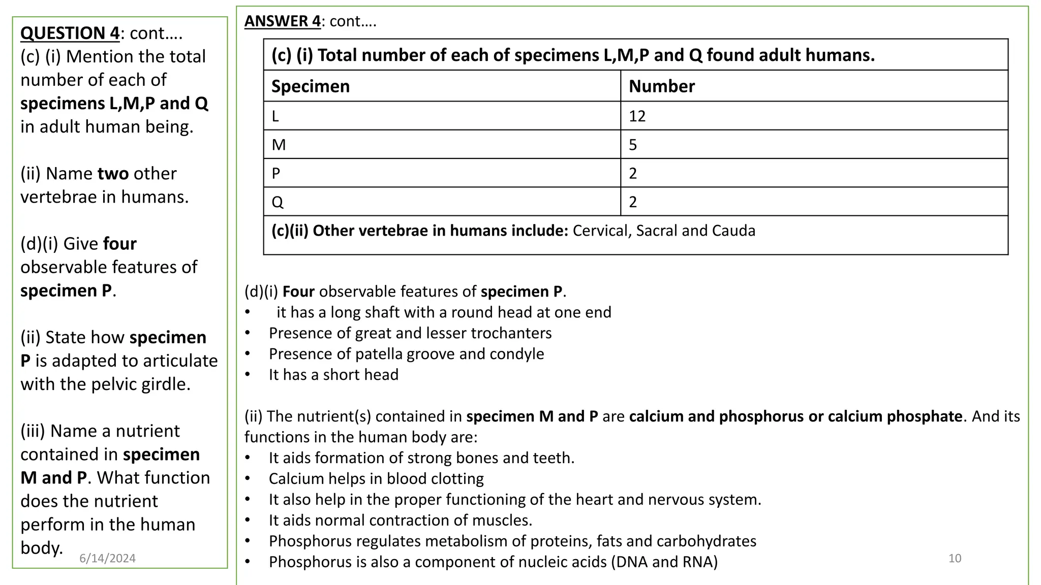 BIOLOGY WEST AFRICAN EXAMINATION COUNCIL (WAEC) 2024 PRACTICAL MANUAL.pptx