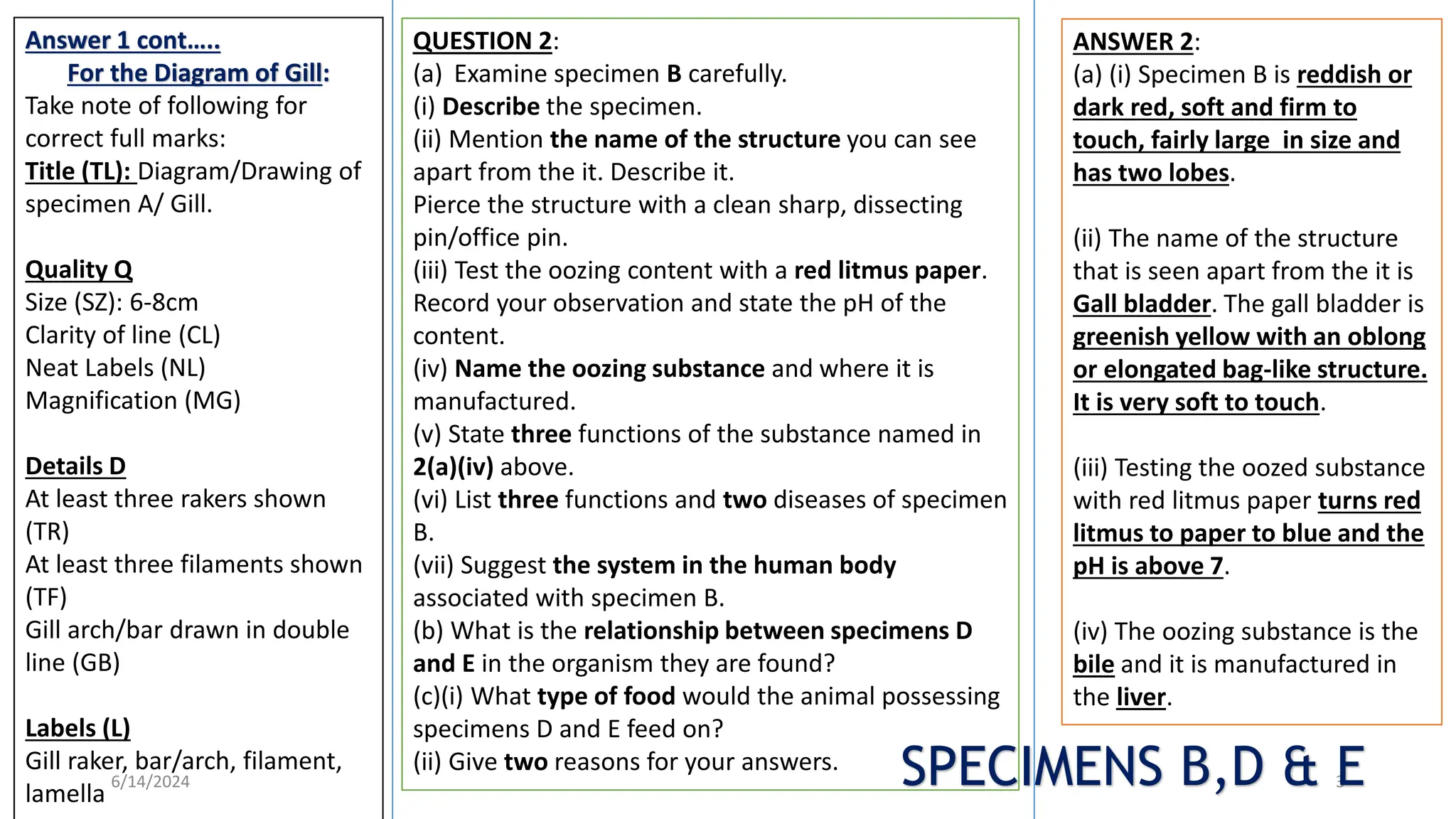 BIOLOGY WEST AFRICAN EXAMINATION COUNCIL (WAEC) 2024 PRACTICAL MANUAL.pptx
