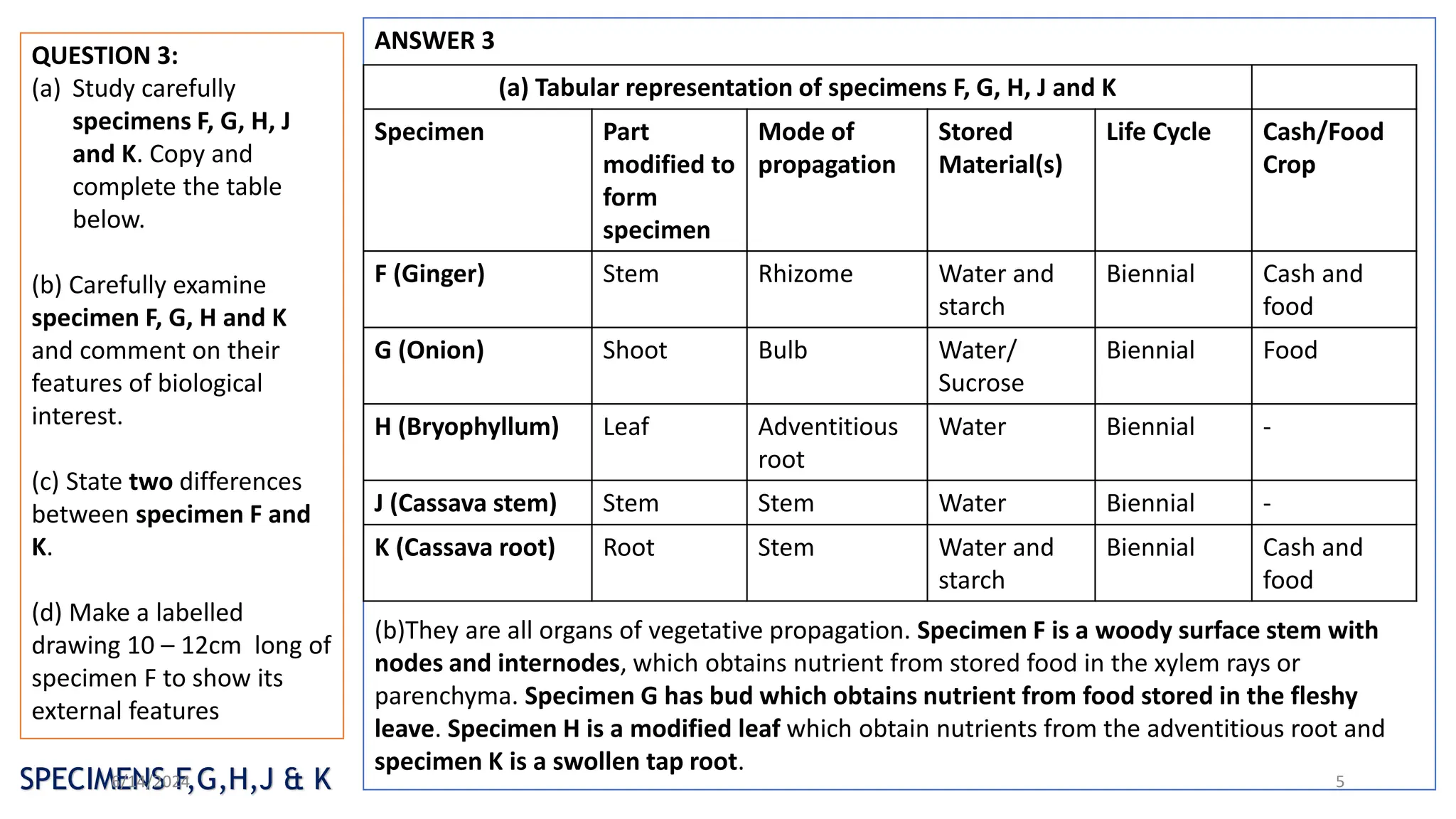 BIOLOGY WEST AFRICAN EXAMINATION COUNCIL (WAEC) 2024 PRACTICAL MANUAL.pptx