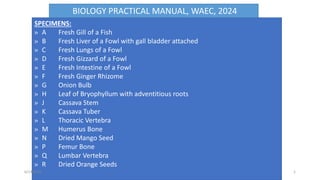 BIOLOGY WEST AFRICAN EXAMINATION COUNCIL (WAEC) 2024 PRACTICAL MANUAL.pptx