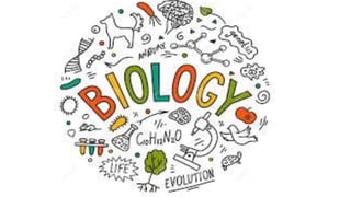 Biology week 2 | PPTX
