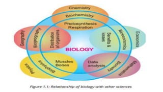 Biology week 2 | PPTX