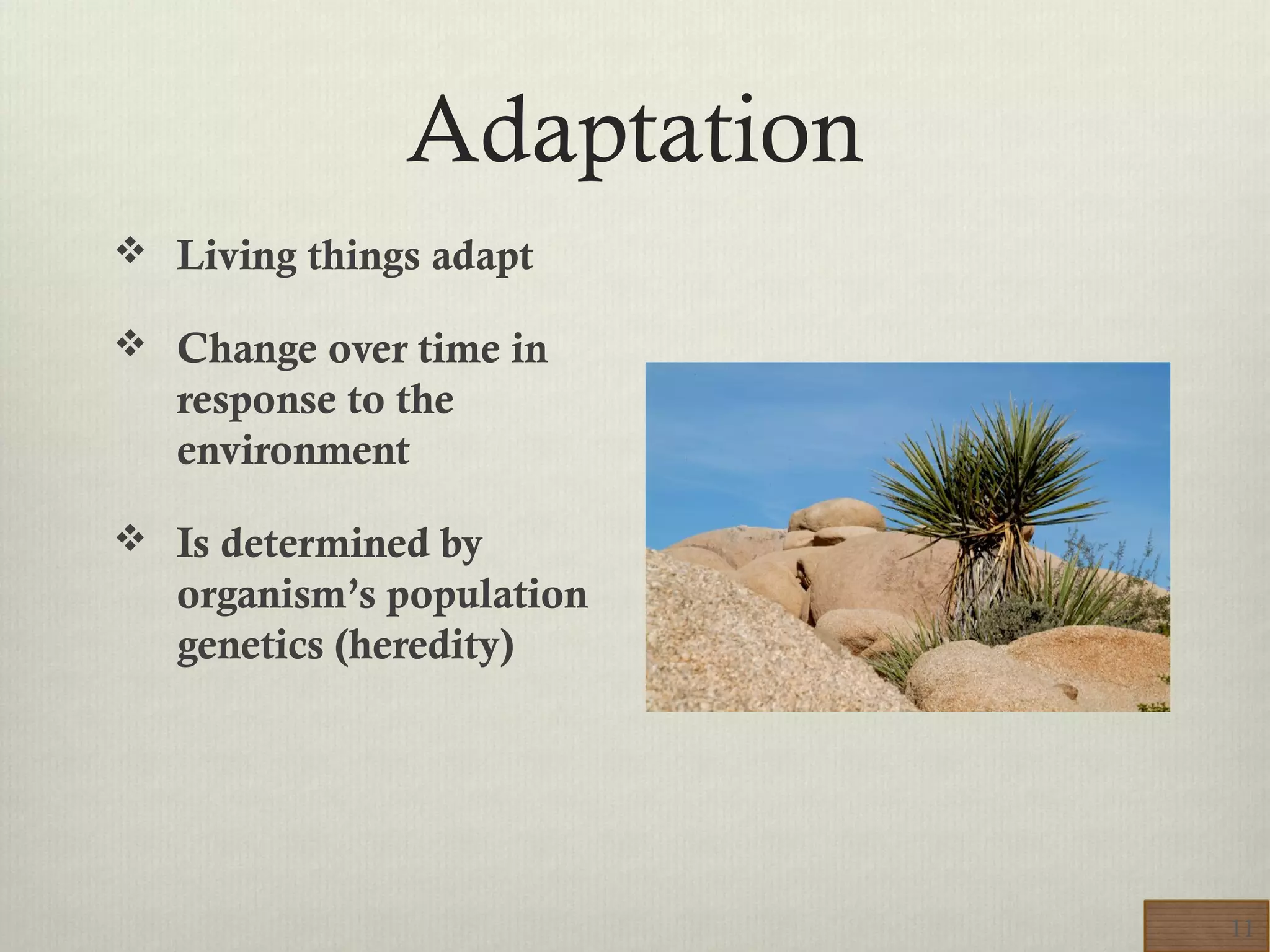 Biology, What is Life? | PPT