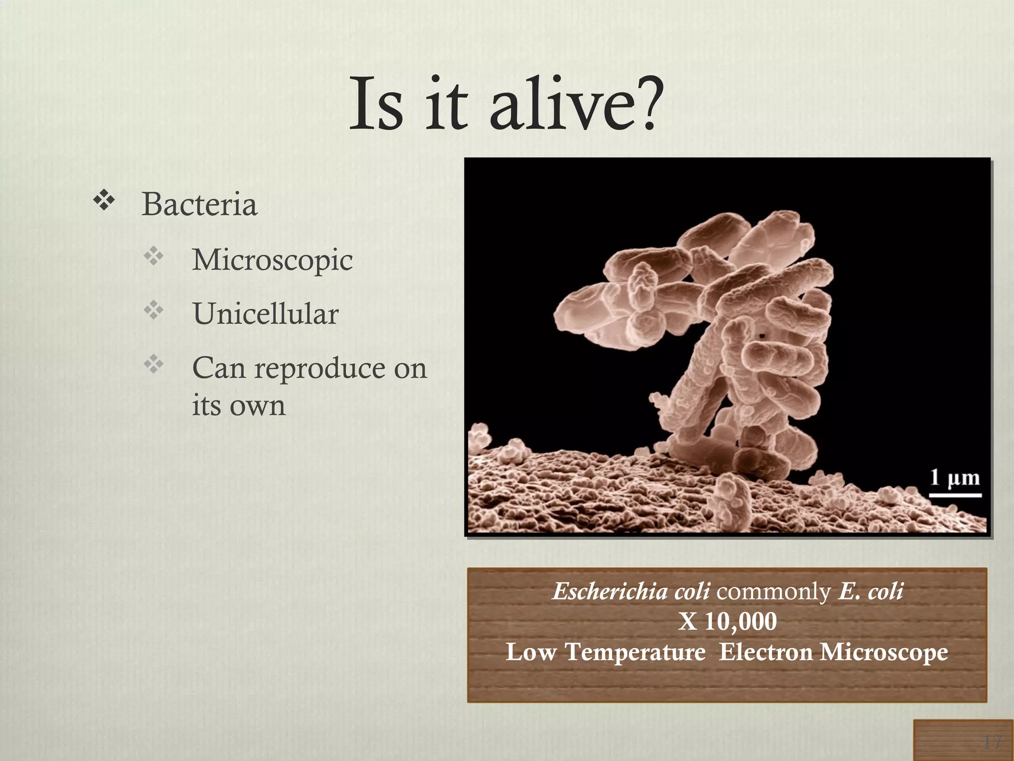 Biology, What is Life? | PPT