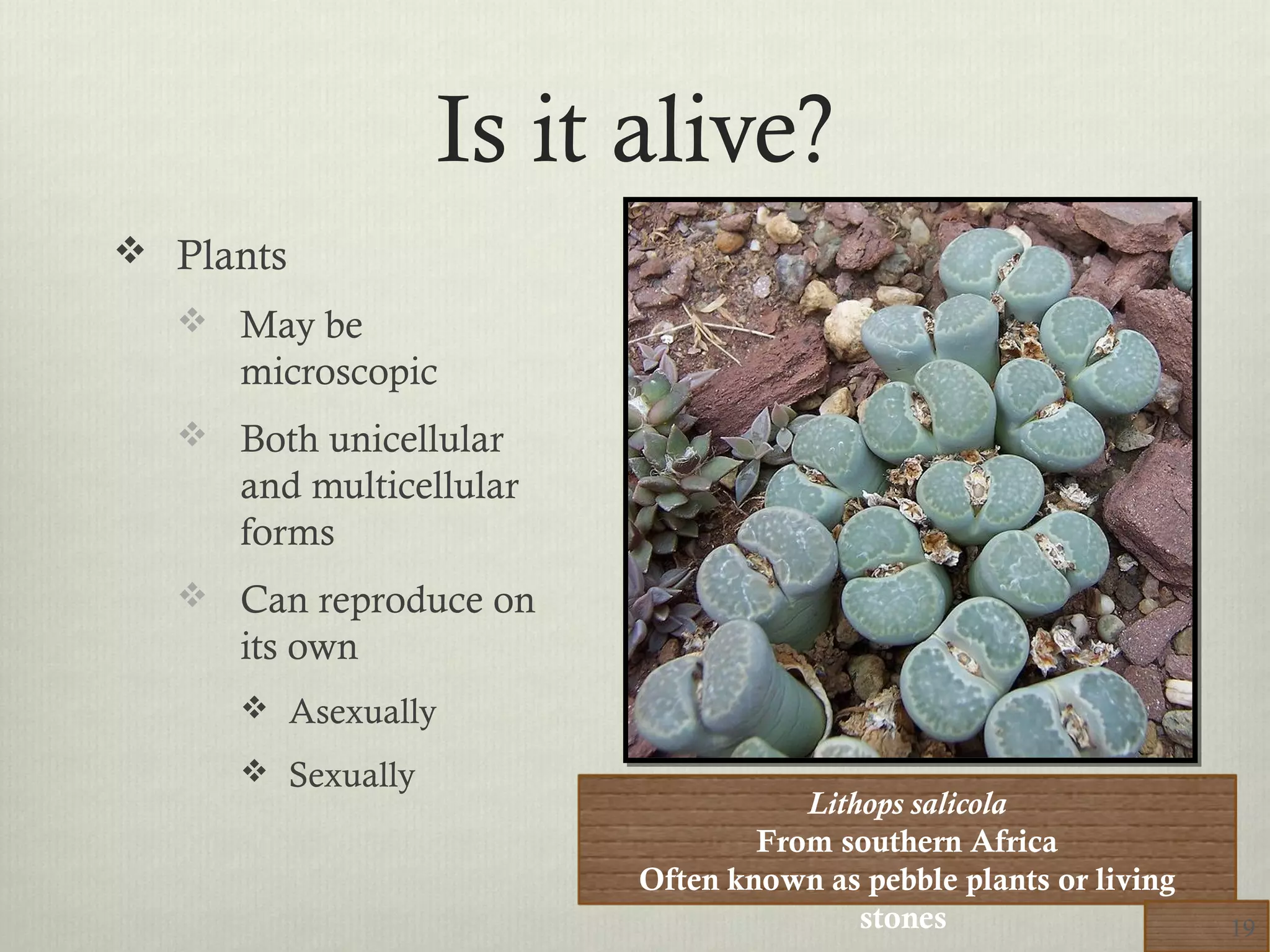Biology, What is Life? | PPT