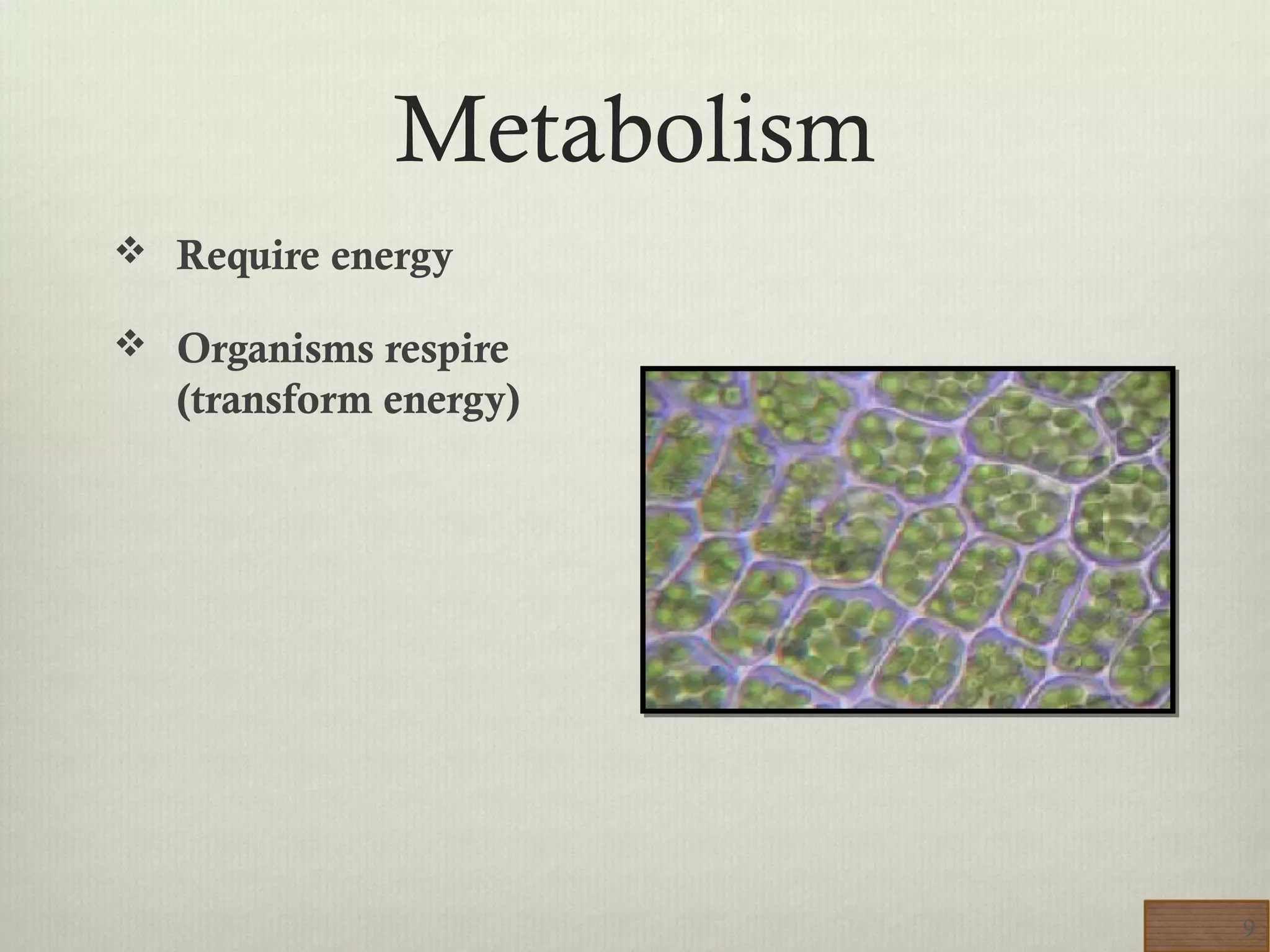 Biology, What is Life? | PPT