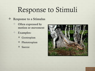 Biology, What is Life? | PPT