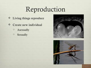 Biology, What is Life? | PPT