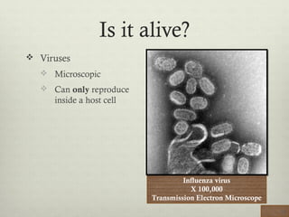 Biology, What is Life? | PPT