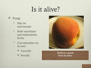 Biology, What is Life? | PPT