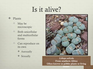 Biology, What is Life? | PPT