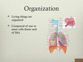 Biology, What is Life? | PPT