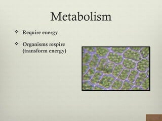 Biology, What is Life? | PPT