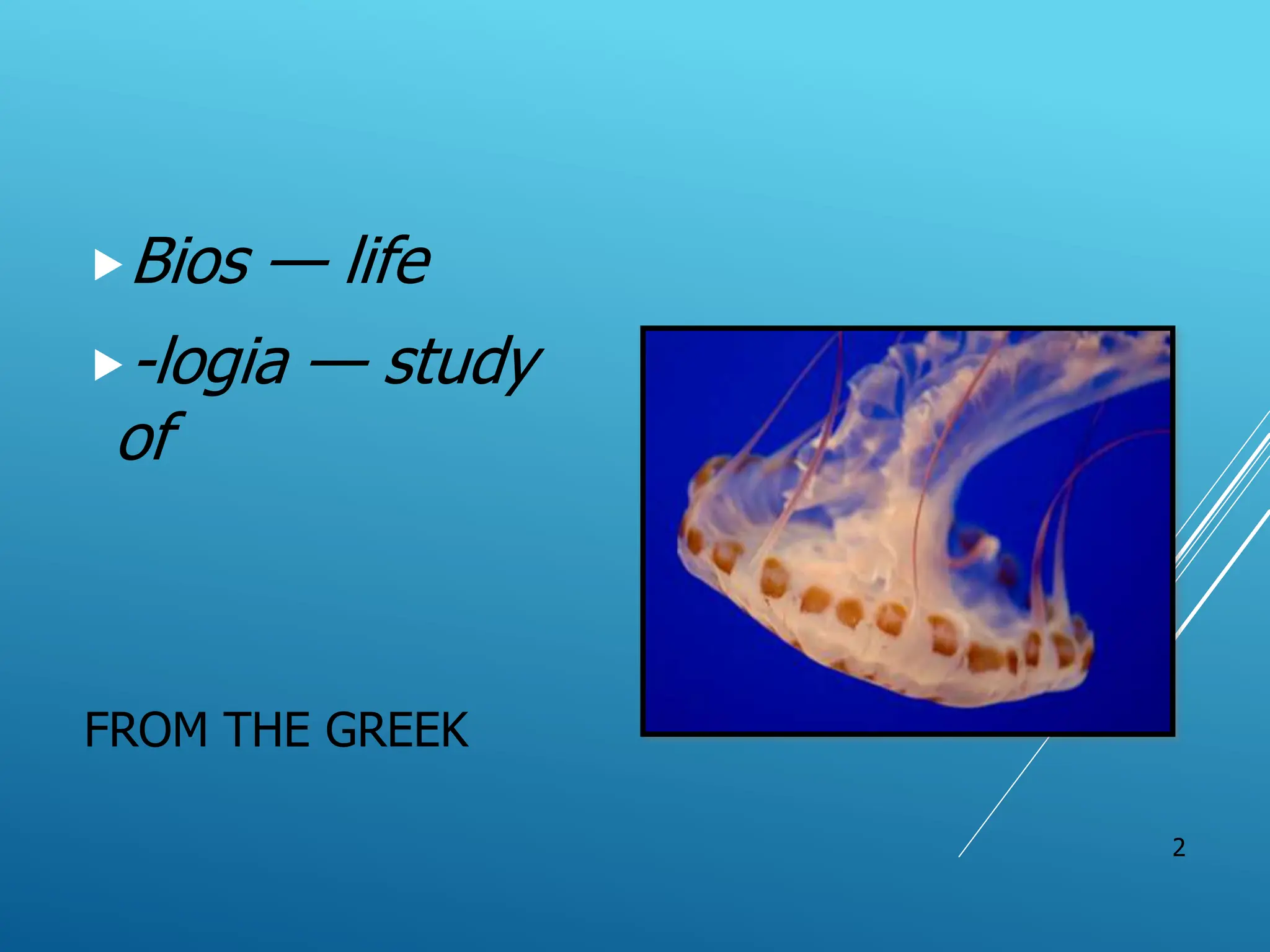 biologywhatislife-140917013832-phpapp02.ppt.pptx