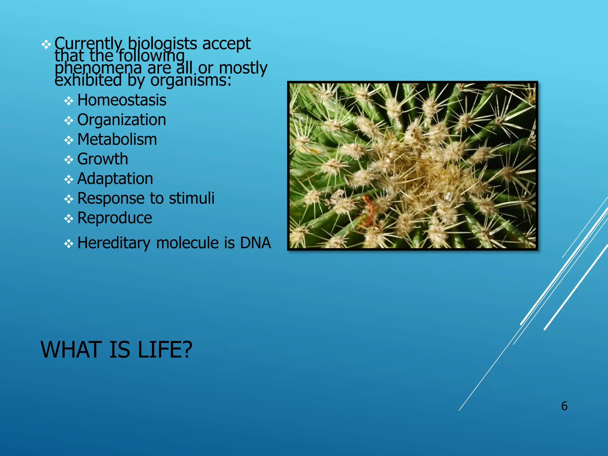 biologywhatislife-140917013832-phpapp02.ppt.pptx