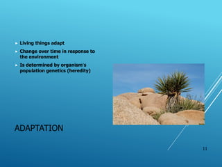biologywhatislife-140917013832-phpapp02.ppt.pptx
