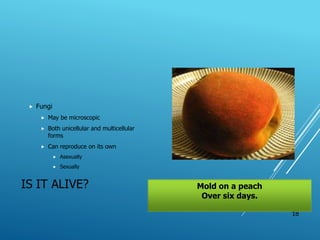 biologywhatislife-140917013832-phpapp02.ppt.pptx