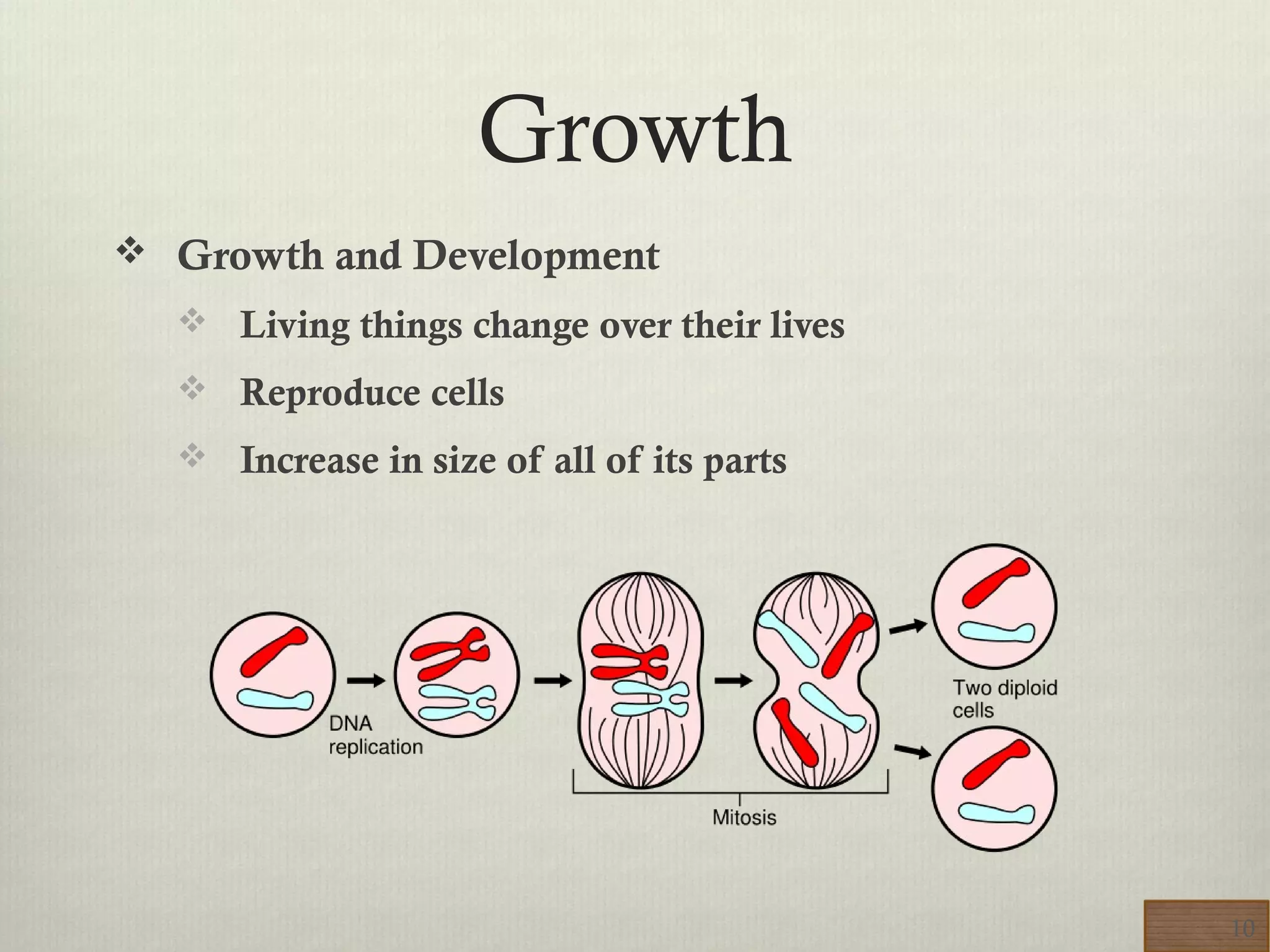 Biology: What is Life? | PPT