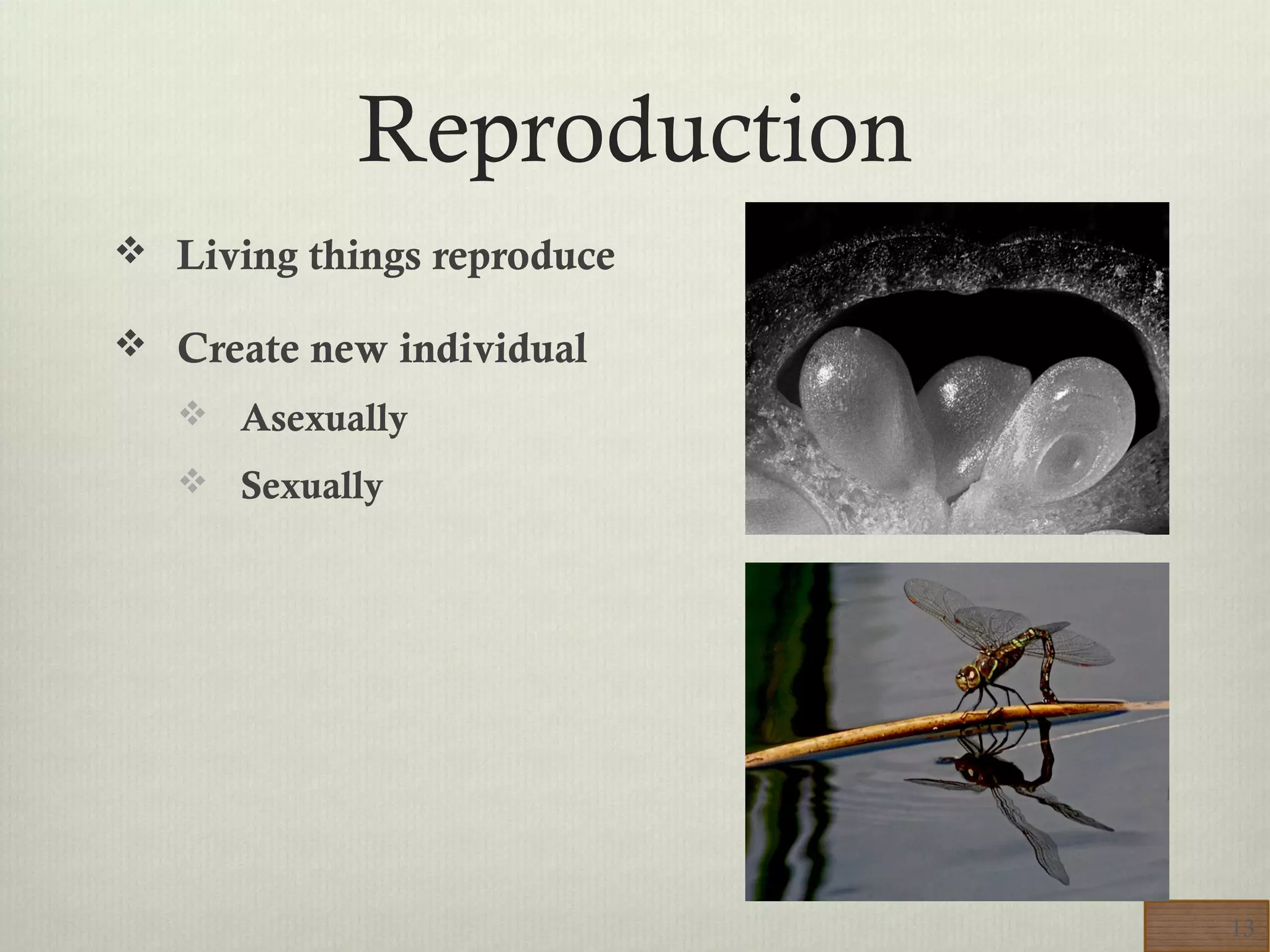 Biology: What is Life? | PPT