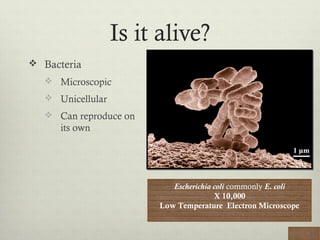 Biology: What is Life? | PPT