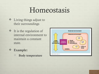 Biology: What is Life? | PPT