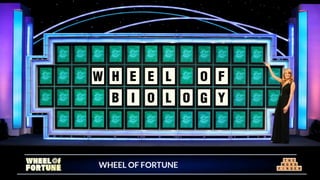 Biology Review Wheel of Fortune PowerPoint | PDF