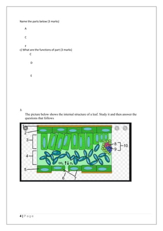 biology year 10 (1).pdf