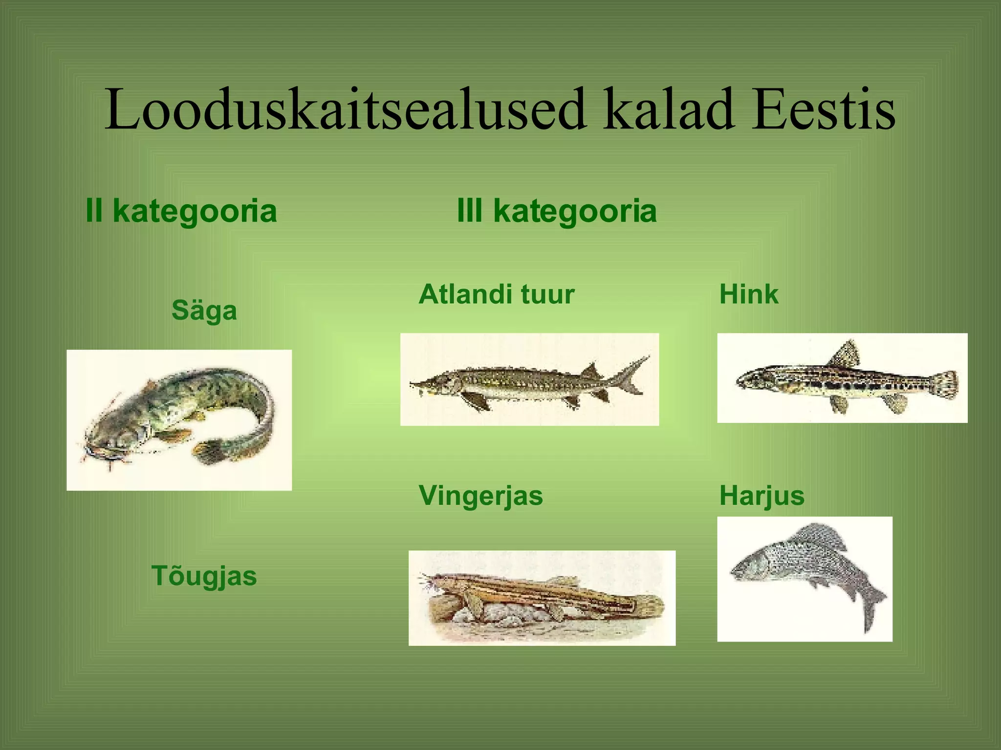 BIOLOOGIA | PPT