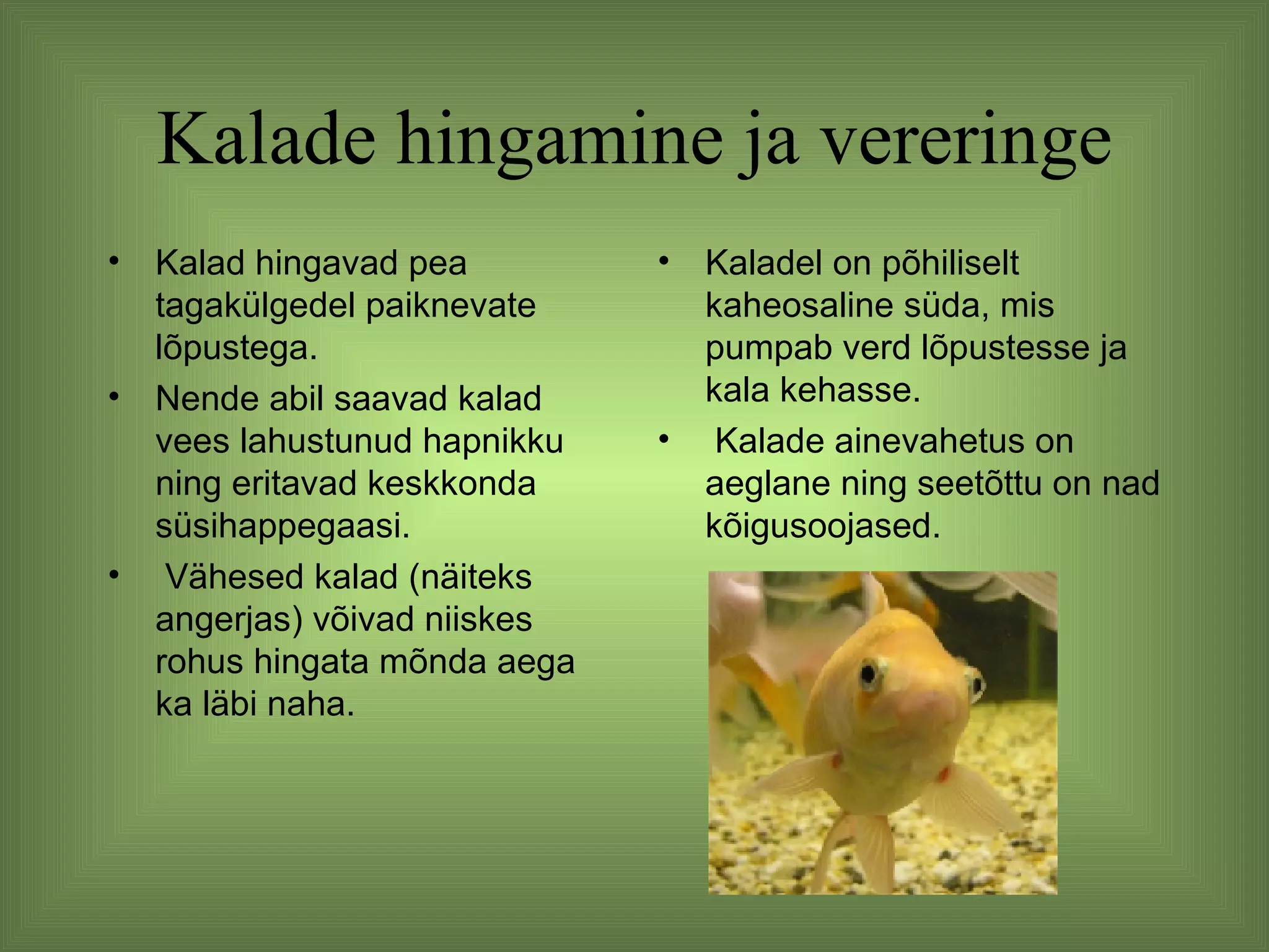 BIOLOOGIA | PPT