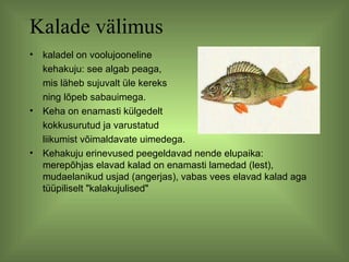BIOLOOGIA | PPT