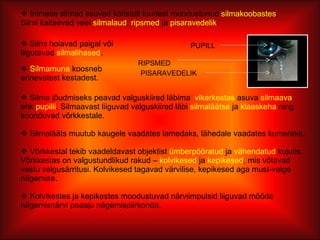 Bioloogia Esitlus Cathy | PPT