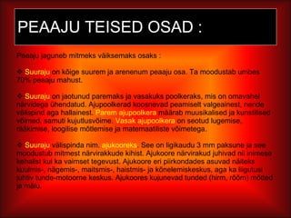 Bioloogia Esitlus Cathy | PPT