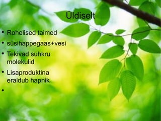 Bioloogia esitlus fotosüntees | ODP