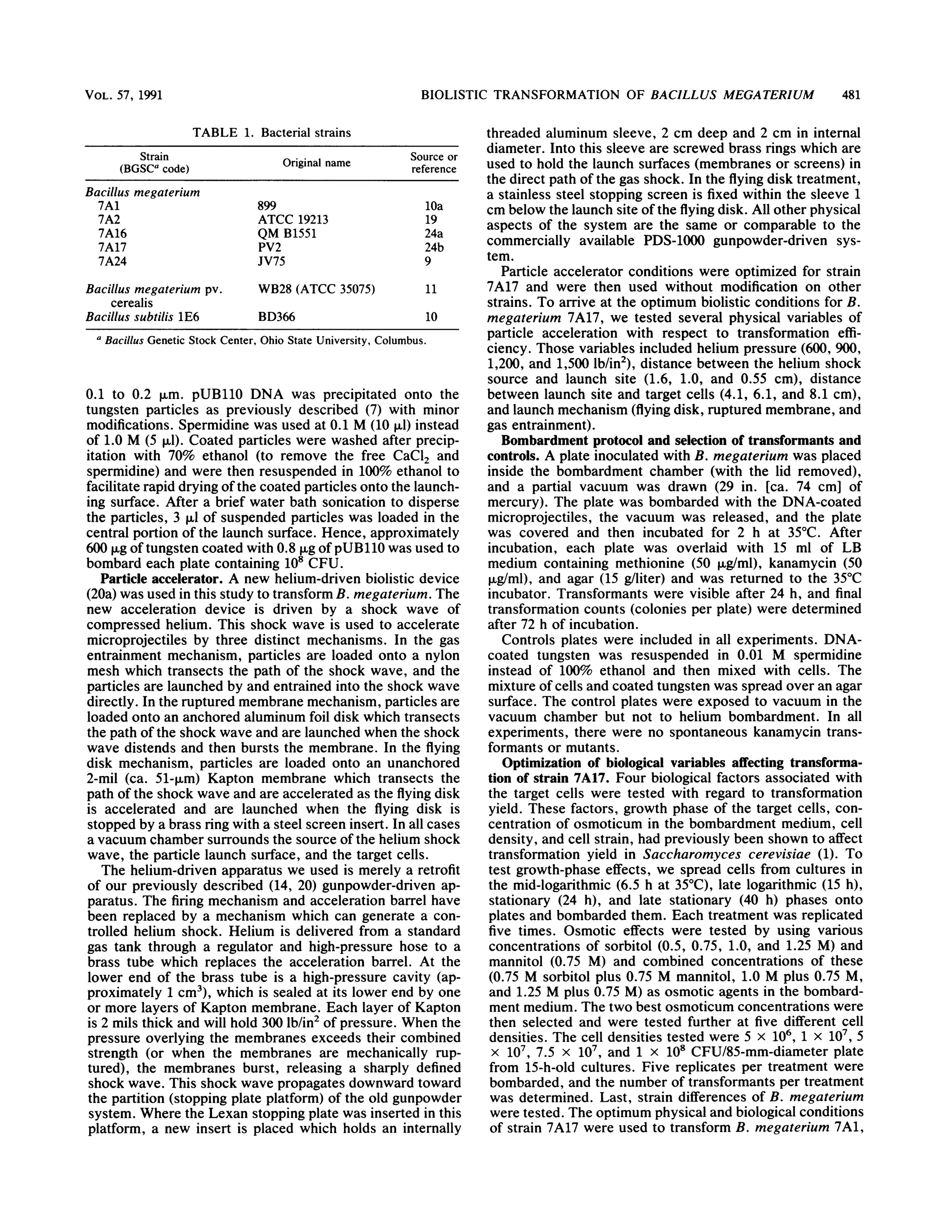 Biolostic transformation of a procaryote, bacillus megaterium | PDF