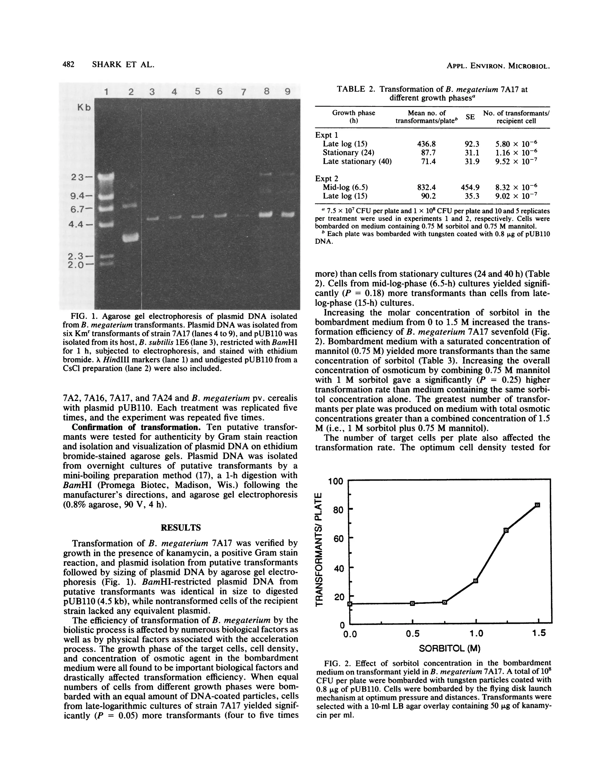 Biolostic transformation of a procaryote, bacillus megaterium | PDF