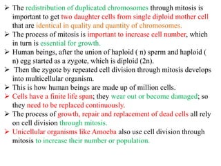 Biolo Garde Ten Unit Four for High School Students | PPTX
