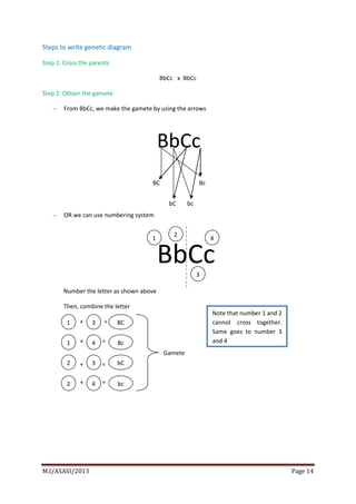 Biolove genetics part 1 | PDF