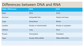 BIOL REPORT(RNA).pptx