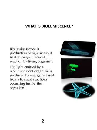Bioluminence | PPTX